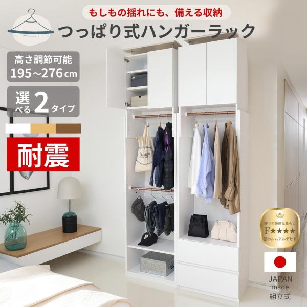 =====送料について=====【送料】無料です。※沖縄・離島、配送特殊地域は別途お見積り致します。---商品名---TR-65---サイズ---外寸：幅65　奥行41(引手含む)　高さ195〜276(cm)内寸：商品ページ内の内寸画をご参...