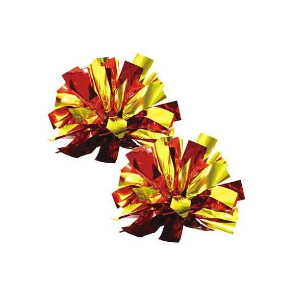 運動会・発表会・イベント