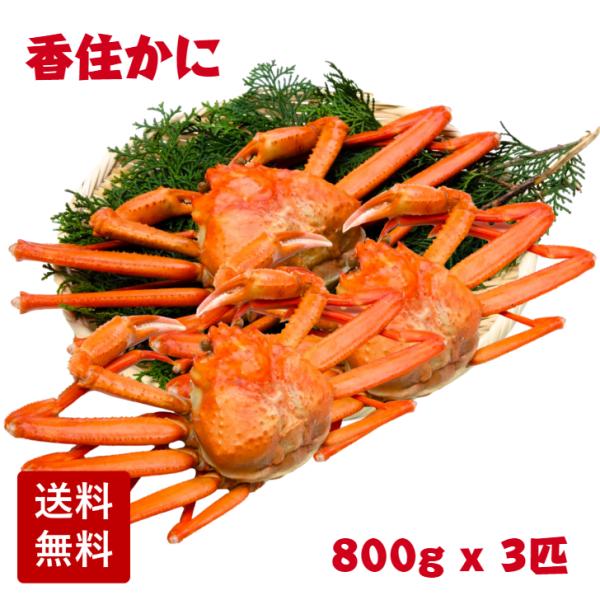 【商品情報】名     称 : 姿茹で（ボイル）香住かに（紅ズワイガニ）内 容 量 : 800g前後×3匹産 地 名 : 兵庫県美方郡香美町（旧香住町）沖賞味期限 : 冷蔵保存で3日配送方法 : クール便（冷蔵）でお届けします。保存方法 :...