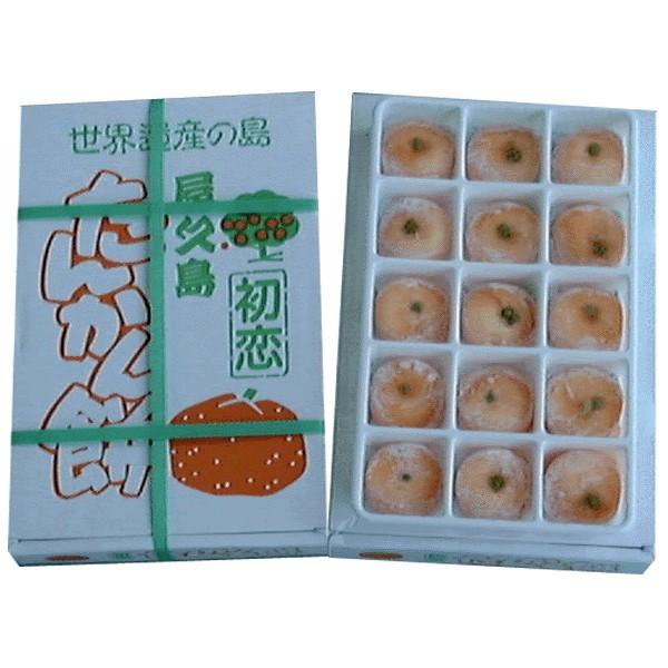 屋久島の特産品専門市場　やくしま市場