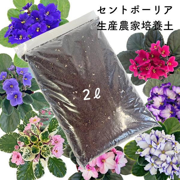 セントポーリアの生産者、ロイヤルグリーンさんが実際に使用している培養土です。ハウス栽培用の配合なので、水持ちがかなり良いです。ご家庭で使用する際は、水やり回数を減らしたり、排水性が良くなる用土を配合するのもおすすめです。原材料・成分ピートモ...