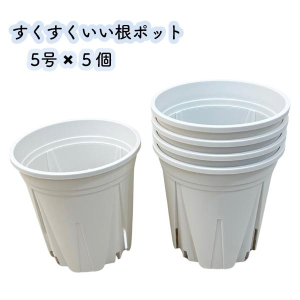 ■商品名：すくすくいい根ポット■内　容：5個■号　数：5号(1.7L)■カラー：ホワイト■サイズ：直径15cm、高さ15cm■素　材：プラスチック■製　造：日本製■メーカー：三晃物産■カラー：　(モニターの発色の具合によって、実際の商品と色...