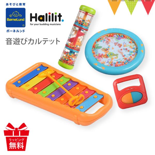 組み合わせても楽しめる4種の楽器セット。振ったり、指先でローラーを動かしたり、バチで演奏したりと指先の成長に合わせてステップアップできることも特徴です。<br>