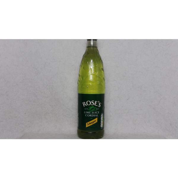 サン＝トノレ通り5番地。 「サン・ルー・ドー・ヌー」。その不格好な呪文を吐き捨てれば、パリの夜は唐突に終わる。そこにあるのは、ニューヨークの残骸――「ハリーズ・ニューヨーク・バー」だ。マホガニーのカウンターは、幾多の嘘と絶望を吸い込んで、重...