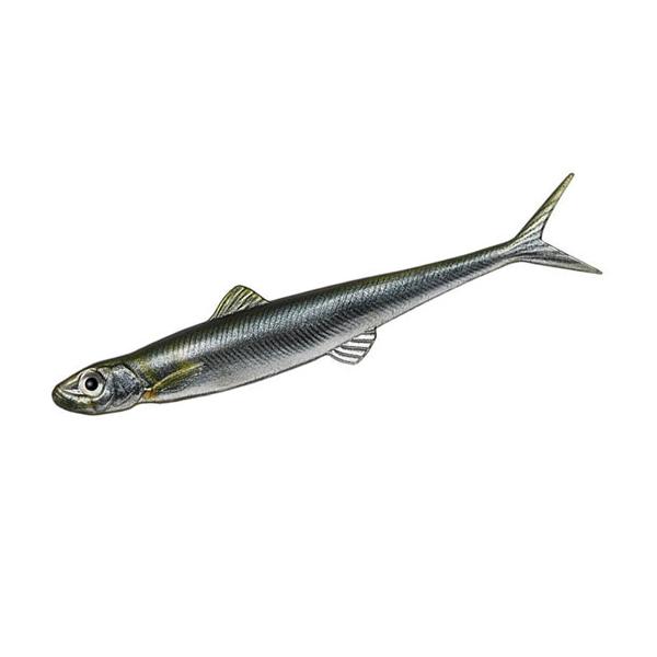 エバーグリーンラストエース　110F◆全長：11.0cm◆入数：3本★釣れないときの切り札「ラストエース」のフローティングタイプ。水面付近で見せるその弱々しさ、そしてバスが何の疑いもなく吸い込む様は、まさにベイトフィッシュそのもの。水面で止...