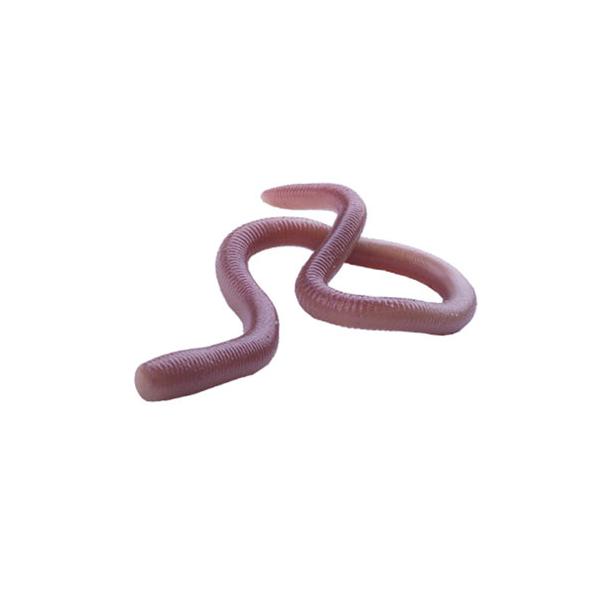OSP/オーエスピーMMZ DEKA/エムエムズィーデカ◆サイズ：13インチクラス◆入数：3本★発売後直後から各フィールドで驚異的な釣果が報告されたMMZシリーズに、全長13インチクラスとなるデカが新たにラインナップ。近年、トーナメントでキ...