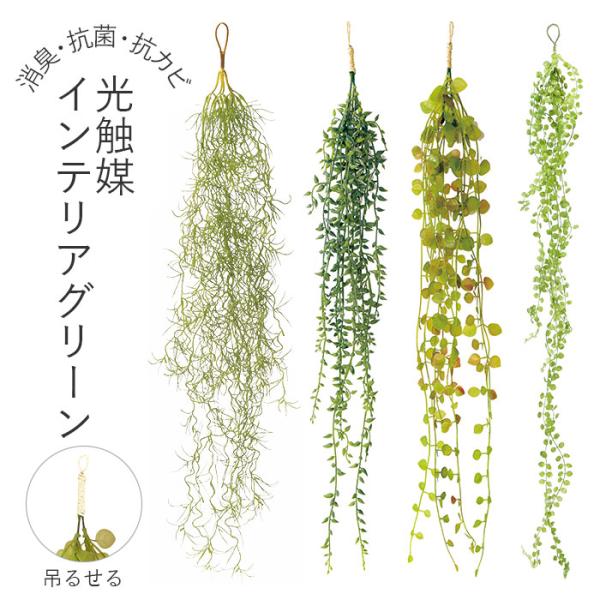 ご利用シーンやイベントなど:お正月 初売り 初詣 お年玉 成人の日 成人式 節分 バレンタインデー 桃の節句（ひなまつり） ホワイトデー 春物入荷 お花見 入学式 ゴールデンウィーク 母の日 衣替え 父の日 梅雨 夏物入荷 山開き 海開き ...