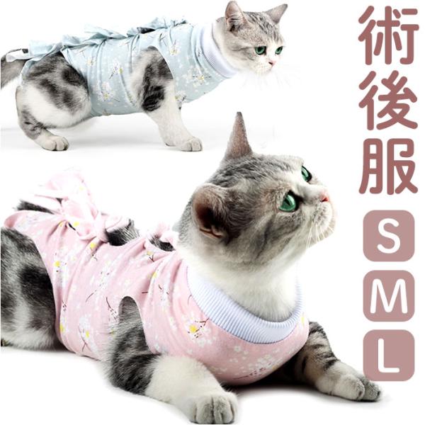 お正月 初売り 初詣 お年玉 成人の日 成人式 節分 バレンタインデー 桃の節句（ひなまつり） ホワイトデー 春物入荷 お花見 入学式 ゴールデンウィーク 母の日 衣替え 父の日 梅雨 夏物入荷 山開き 海開き 七夕 お中元 暑中お見舞い ...