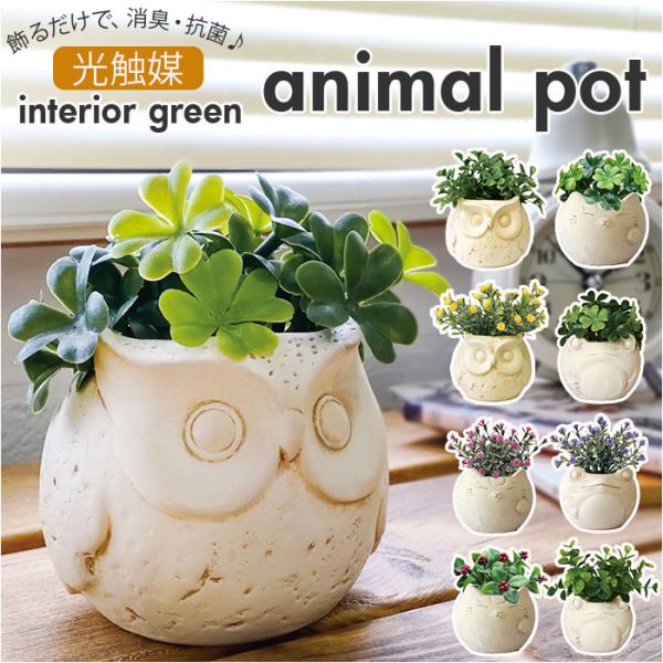 ご利用シーンやイベントなど: お正月 初売り 初詣 お年玉 成人の日 成人式 節分 バレンタインデー 桃の節句（ひなまつり） ホワイトデー 春物入荷 お花見 入学式 ゴールデンウィーク 母の日 衣替え 父の日 梅雨 夏物入荷 山開き 海開き...