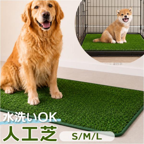 S 46×36cm M 58×46cm L 70×46cm お正月 初売り 初詣 お年玉 成人の日 成人式 節分 バレンタインデー 桃の節句（ひなまつり） ホワイトデー 春物入荷 お花見 入学式 ゴールデンウィーク 母の日 衣替え 父の日 ...