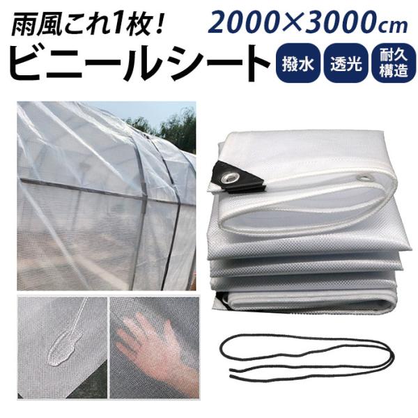 お正月 初売り 初詣 お年玉 成人の日 成人式 節分 バレンタインデー 桃の節句（ひなまつり） ホワイトデー 春物入荷 お花見 入学式 ゴールデンウィーク 母の日 衣替え 父の日 梅雨 夏物入荷 山開き 海開き 七夕 お中元 暑中お見舞い ...
