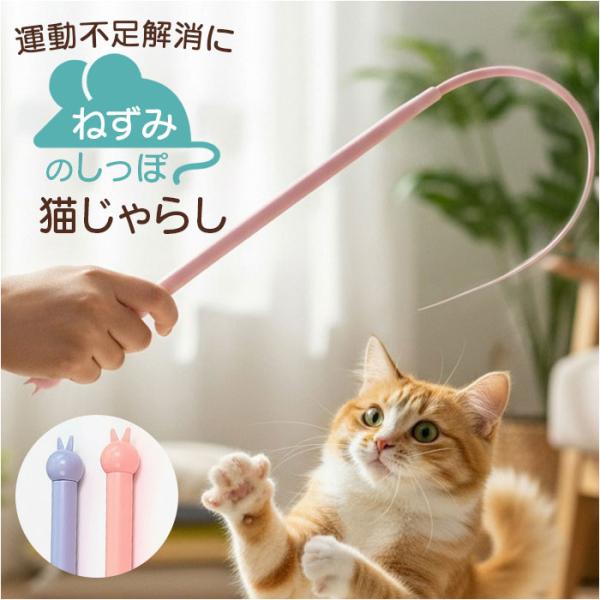 お正月 初売り 初詣 お年玉 成人の日 成人式 節分 バレンタインデー 桃の節句（ひなまつり） ホワイトデー 春物入荷 お花見 入学式 ゴールデンウィーク 母の日 衣替え 父の日 梅雨 夏物入荷 山開き 海開き 七夕 お中元 暑中お見舞い ...
