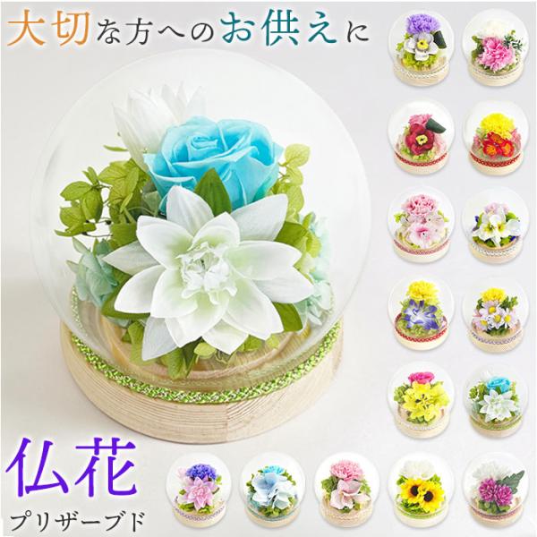 C41900 デンファレ C41901 ハス(シロ 白) C41902 ツバキ(シロ 白) C41910 ウメ C41911 ツバキ(アカ 赤) C41920 ハス(ピンク) C41921 カーネーション C41922 アルストロメリア C...