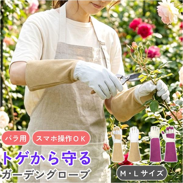 お正月 初売り 初詣 お年玉 成人の日 成人式 節分 バレンタインデー 桃の節句（ひなまつり） ホワイトデー 春物入荷 お花見 入学式 ゴールデンウィーク 母の日 衣替え 父の日 梅雨 夏物入荷 山開き 海開き 七夕 お中元 暑中お見舞い ...