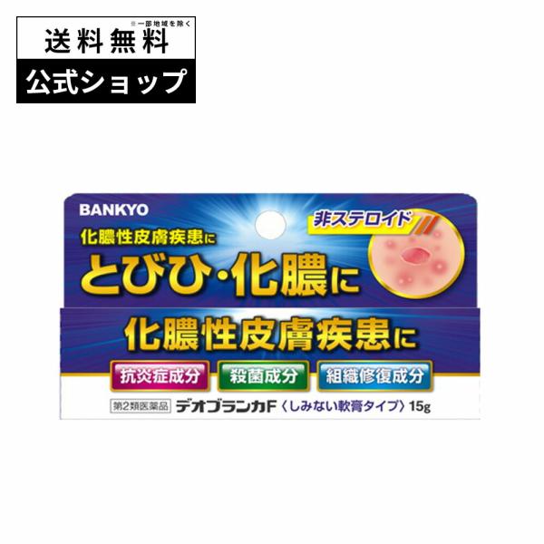 【発売日：2024年07月31日】・とびひ・かゆみの強い水疱に・赤みがあり化膿した炎症に・じゅくじゅくした皮膚炎にとびひとは黄色ブドウ球菌という細菌が皮ふに感染して化膿をおこす病気で、肌が赤くなり、周囲に水ぶくれができます。感染しやすいこと...