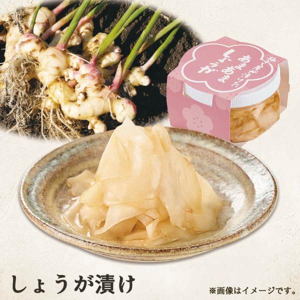 【新発売】大人気の『あまあま3%』の味で丁寧に漬け込んだ、やさしい甘さのしょうが漬けです。国産生姜のさわやかな辛みに、はちみつのまろやかな甘みが混ざり合い、口当たりよくお召し上がりいただけます。そのままおやつ感覚で、またはお茶請けや箸休めと...