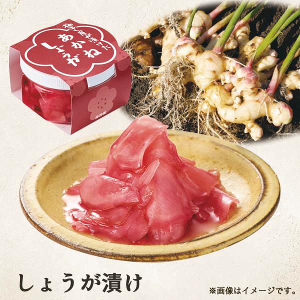 【新発売】自慢のしそ漬け「あかね」の味で漬け込んだ、風味豊かなしょうが漬けです。国産生姜としその旨みがたまらない、ごはんのお供にぴったりの味わいに仕上がりました。白いごはんはもちろん、お酒のおつまみにもぴったりに仕上がりました。■内容量：1...