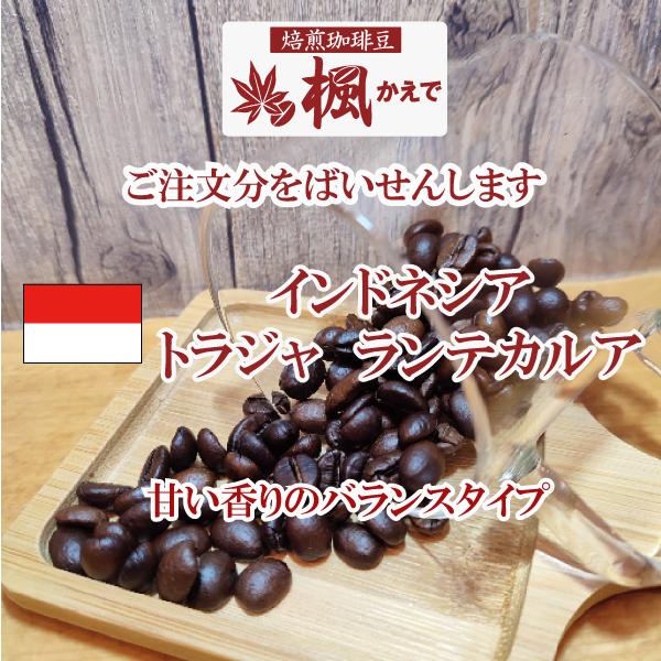 焙煎は、ミディアムローストがおすすめです。焙煎後は、生豆時の量目（グラム数）から１０〜１５％程度減少します。商品名 　　スラウェシ島 トラジャ地区 スロトコ農園“Rante Karua” G1生産地　　 スラウェシ島トラジャ地区スロトコ農園...