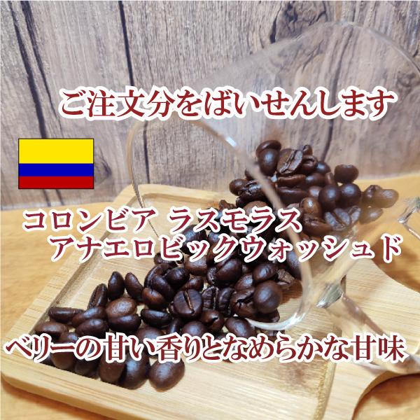 焙煎は、ミディアムローストがおすすめです。焙煎後は、生豆時の量目（グラム数）から１０〜１５％程度減少します。精製        ファーメンテドウォッシュ標高      1,700?1,850m品種      カスティージョ、コロンビア、カト...