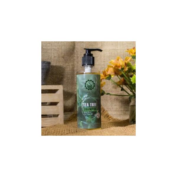 頭皮を健やかに保ってくれるティーツリーシャンプー陰イオン性界面活性剤 SLS（ラウリル硫酸ナトリウム）をはじめとするあらゆる種類の化学合成物質不使用の100%天然の無添加シャンプーココナッツオイルをベースに、CacaoButter カカオバ...