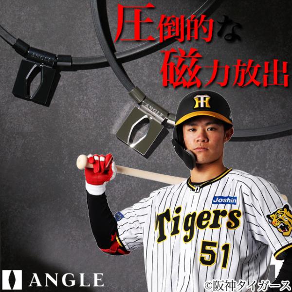 カラー：プラチナ　ブラック　素材：【ネックループ部分】ウレタン樹脂コーティングゴム磁石（50mT 全周2本『同極平行配列』）　【トップ、ジョイント】SUS316L、POM　特徴：アングル独自の全く新しい技術で、ネックループ全周にわたり2本の...