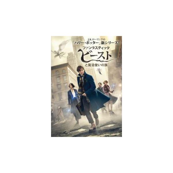 【バーゲン】(監督) デビッド・イェーツ (出演) エディ・レッドメイン、キャサリン・ウォーターストーン、ダン・フォグラー、アリソン・スドル、フェイス・ウッド＝ブラグローブ、ジェン・マーレイ、エズラ・ミラー、サマンサ・モートン、コリン・ファ...