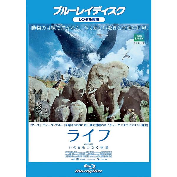 (監督) マイケル・ガントン (ジャンル) 洋画 ドキュメンタリー 動物 (入荷日) 2026-05-07
