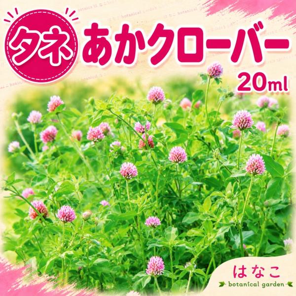 自然の力で土を耕す！花を楽しんだ後は、そのまま土に漉き込めば緑肥にもなります。※20mlで約15〜20平方メートル播種できます。播種時期 春2月下旬〜6月　 秋9月〜11月※気温や天候によって変わってきますので、あくまで目安になります。発芽...