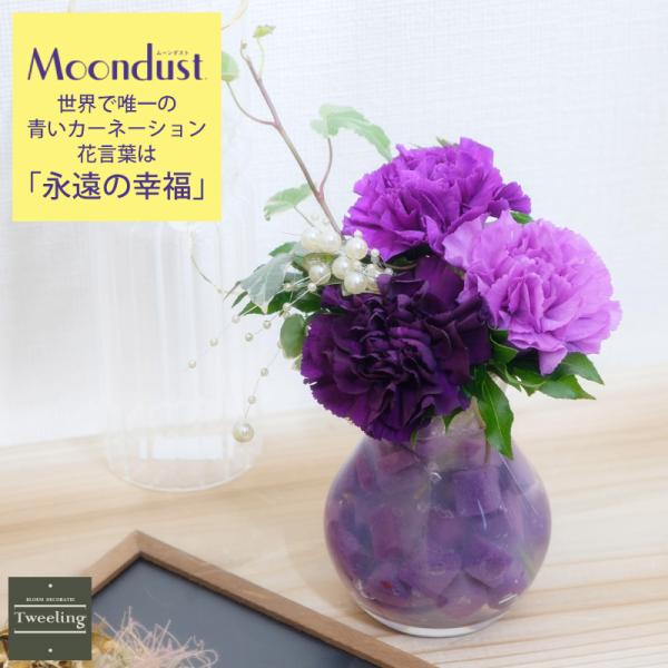 ムーンダスト 古希のお祝い 喜寿のお祝い 花 女性 そのまま飾れるブーケ スタンディングブーケ 花束 結婚記念日 誕生日 プレゼント 命日 紫 カーネーション ムーンダスト そのまま飾れる花束 ギフト お祝い 50代 60代 70代 80代...