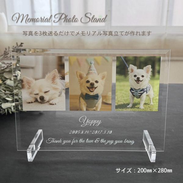 ★商品情報★サイズ:200mm×280mm素材:クリスタルガラスご注文後、弊社からお写真についてのメールをお送りします。info@barcoblanco.tokyoまでお写真をお送りくださいませ。大切なペットとの思い出を、世界にひとつだけの...