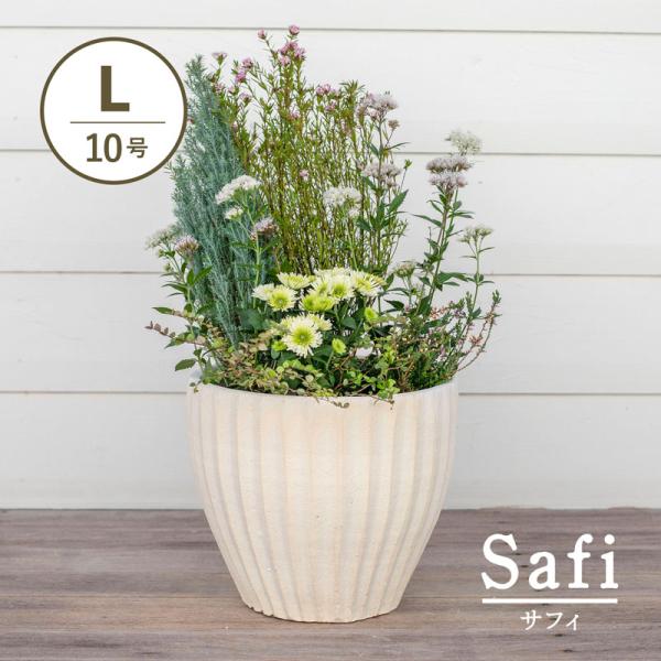 植木鉢/おしゃれ/テラコッタ/素焼き鉢/小型/中型/白土規格：10号 / 外寸 30cm / 高さ 27cm / 容量 12L素材：テラコッタ