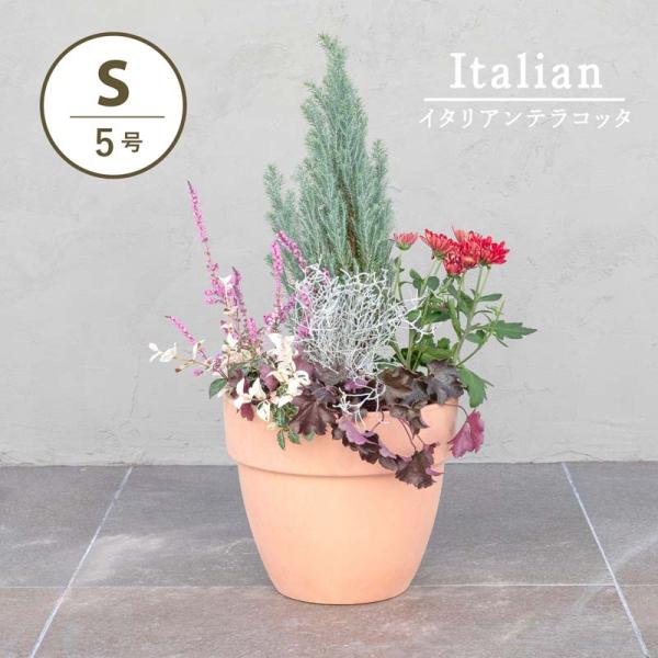 植木鉢/おしゃれ/テラコッタ/素焼き鉢/小型/中型/大型規格：5号 / 外寸 φ16cm / 高さ 13.5cm / 口内寸 15cm / 容量 1.4L素材：テラコッタ
