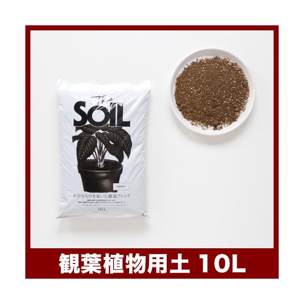 植木鉢/その他/土/園芸用土/底石/ガーデニングThe Soilは園芸用土産地で有名な栃木県鹿沼市の土と植物の健康的な生育に必要なものをバランスよく配合した植木鉢での植物育成に最適な園芸用土シリーズです。内容量：10リットル