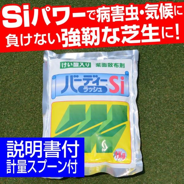 /レビュー特典/使用説明書付き/計量スプーン付き/「ケイ酸」を添加することでけい化細胞を作り固い芝草を形成、病害虫および干ばつの抵抗性を高めることを目的としています。窒素過多の場合、効果が期待されます。色の出方が少ないため、淡緑色を好む方に...