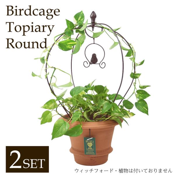 花やグリーンを絡ませればオリジナル鳥かごの出来上がり♪植木鉢に挿し込むだけで、オーナメントとしても鉢を可愛く仕立ててくれます。お庭の植木鉢をちょっとオシャレにしたい。花がたくさん咲いていない寂しい鉢を可愛くしたい。玄関前の植木鉢にアクセント...