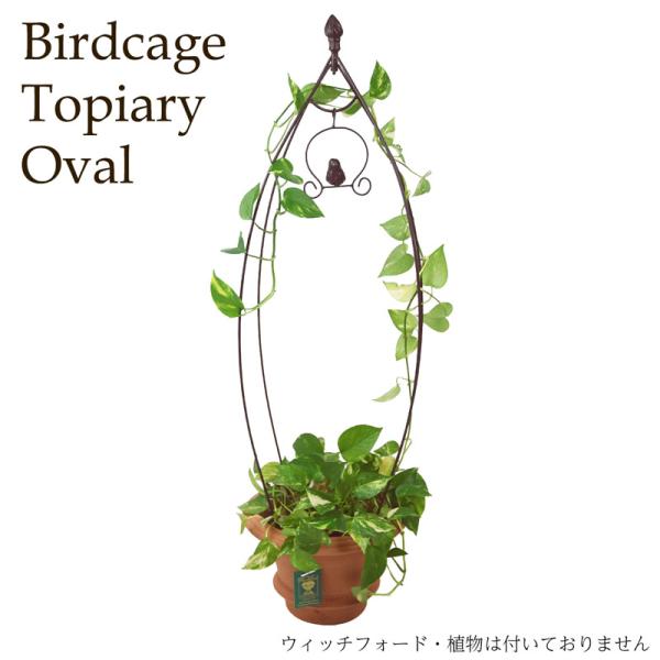 花やグリーンを絡ませればオリジナル鳥かごの出来上がり♪植木鉢に挿し込むだけで、オーナメントとしても鉢を可愛く仕立ててくれます。お庭の植木鉢をちょっとオシャレにしたい。花がたくさん咲いていない寂しい鉢を可愛くしたい。玄関前の植木鉢にアクセント...