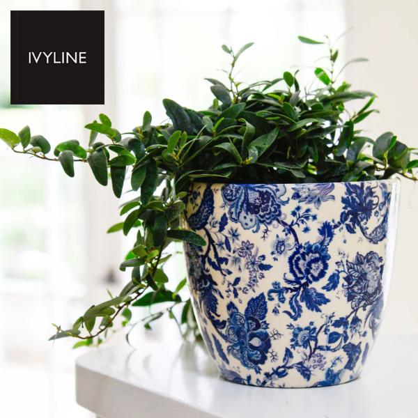 日本ではなかなか見かけないインパクトのある鉢カバーです。個性的な派手なデザインなので、人と被ることはありません。シンプルなデザインでは物足らない方におすすめです。落ち着いたブルーと優美さを感じさせる花柄で、インテリアのアクセントとしても最適...