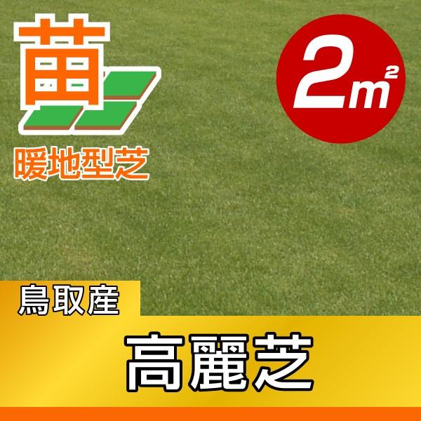 /苗の張り方説明書付き/高麗芝(コウライシバ)は、暖地型芝の永年草で、日本で最も利用されている芝生です。長い地上および地下ほふく茎を有し、見た目は姫高麗芝よりも葉が太く、かためです。日本の気候に適し、高温多湿にも耐えます。土質をあまり選ばず...