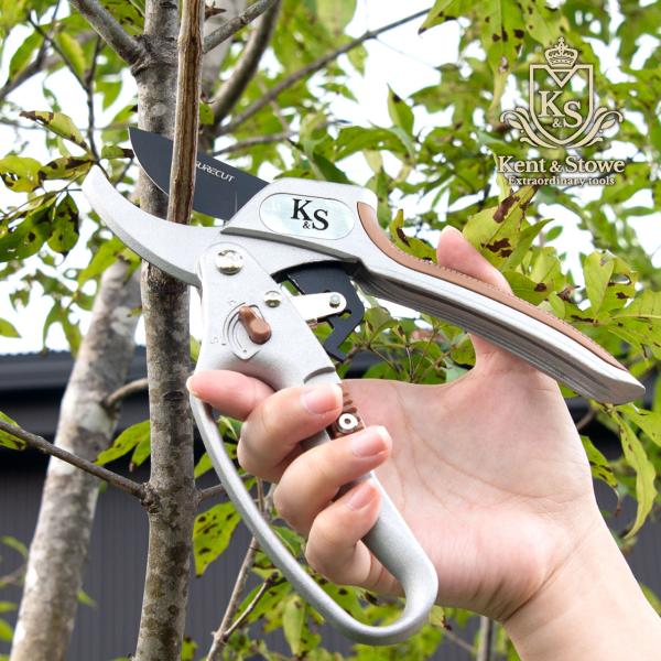 力が少なくても効率よく剪定できるため、軽い力で扱えるラチェット式の剪定バサミは非常に便利な道具です。刃を交差させて切断するバイパス式と違い、アンビル式剪定ばさみは刃を包丁のように台に向かって落とし、枝を切断します。枝をまっすぐ切るなら、受け...