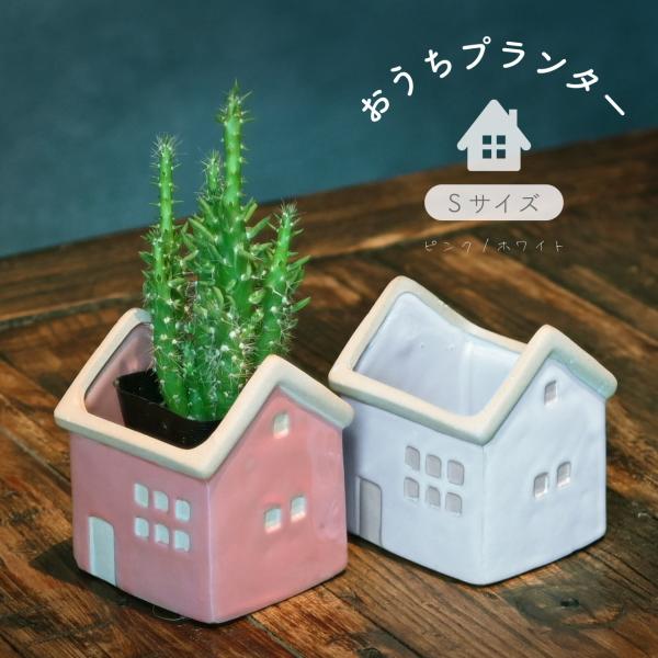 おうちのデザインが可愛らしい陶器鉢です。玄関やリビングのテーブルや棚の目につく場所に飾りたくなる、そんなプランターです。お部屋にあるだけで毎日の気分をちょっと上げてくれます。多肉植物などを植えるのに適した2〜3号サイズ。鉢底穴もあるので、植...