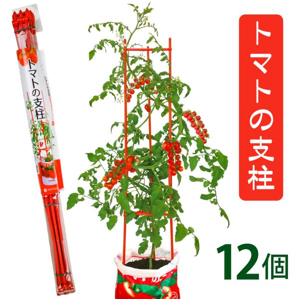 家庭菜園で大人気！ミニトマト栽培におすすめ！「カゴメ そのまま育てるトマトの土 15L」にぴったりなサイズの支柱です。長さ120cmのジョイントサポート支柱で、成長に合わせて長さを調整できます。組み立て式でコンパクトに収納できるので、手軽に...