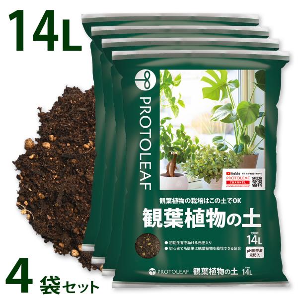 初心者の方にもおすすめ。観葉植物の栽培はこの土だけでOK！観葉植物の栽培に最適な、排水性と保水性を兼ね備えた培養土です。簡単に観葉植物を栽培できるよう初期生育分の肥料を配合しており、そのまま植え替えられるため初心者の方にもおすすめです。仕様...
