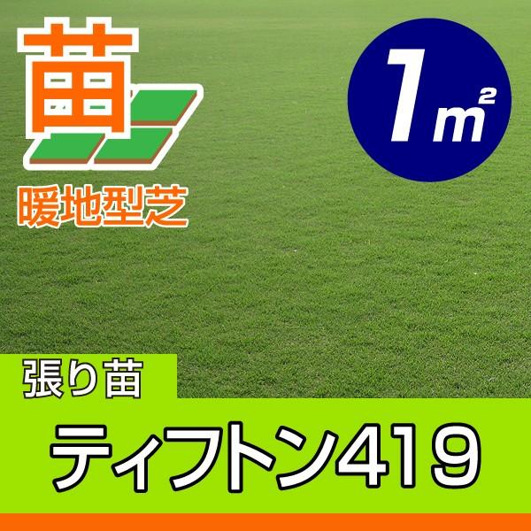 ティフトン４１９は、暖地型芝の永年草で、関東以西の西南地域を中心に利用されています。長い地上および地下ほふく茎を有し、葉は繊細でやわらかく、密度の高い美しい芝生を形成します。耐暑性・耐旱性に優れ、夏期の繁殖能力が旺盛で、冬期は休眠して地上部...