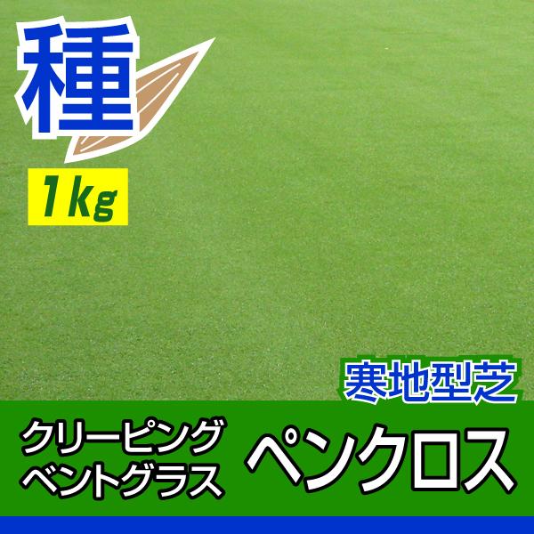 /種のまき方説明書付き/ベントグラスの中でもペンクロスは、ゴルフ場のグリーンで使用される最も人気のある品種で、生育が旺盛でほふく茎が良く伸び、障害からの回復が良好です。1平米あたり10〜15g（1坪あたり35〜50g）の種をまきます。気温2...