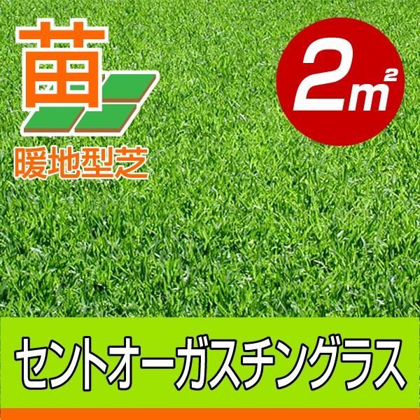 セントオーガスチングラスは、暖地型芝の永年草で、関東以西の西南地域を中心に利用されています。長い地上および地下ほふく茎を有し、見た目は荒いですが感触はやわらかく、葉幅が芝の中で一番広い芝生です。アレロパシー効果で他の品種よりも雑草が侵入しに...