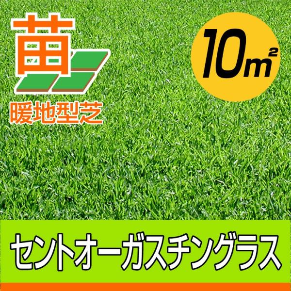 セントオーガスチングラスは、暖地型芝の永年草で、関東以西の西南地域を中心に利用されています。長い地上および地下ほふく茎を有し、見た目は荒いですが感触はやわらかく、葉幅が芝の中で一番広い芝生です。アレロパシー効果で他の品種よりも雑草が侵入しに...