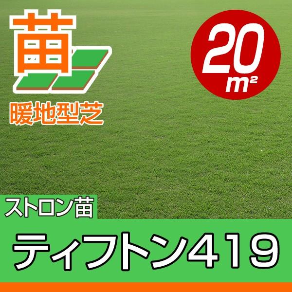 ティフトン４１９は、暖地型芝の永年草で、関東以西の西南地域を中心に利用されています。長い地上および地下ほふく茎を有し、葉は繊細でやわらかく、密度の高い美しい芝生を形成します。耐暑性・耐旱性に優れ、夏期の繁殖能力が旺盛で、冬期は休眠して地上部...
