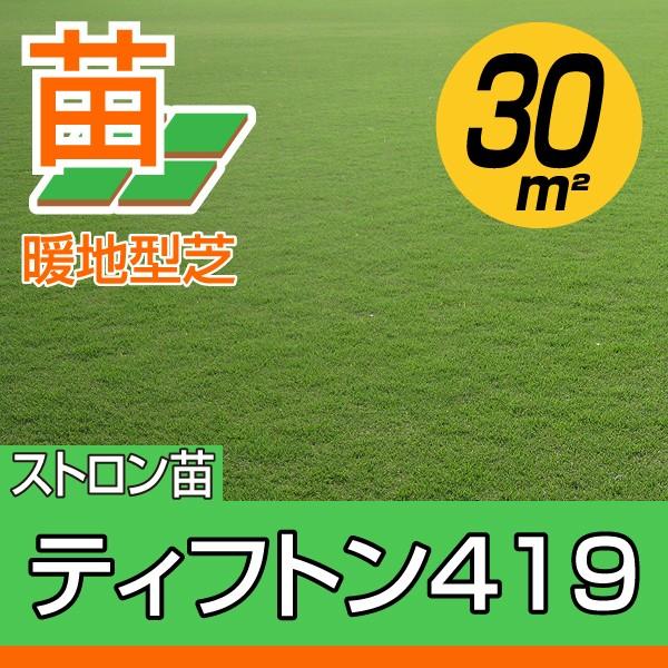 ティフトン４１９は、暖地型芝の永年草で、関東以西の西南地域を中心に利用されています。長い地上および地下ほふく茎を有し、葉は繊細でやわらかく、密度の高い美しい芝生を形成します。耐暑性・耐旱性に優れ、夏期の繁殖能力が旺盛で、冬期は休眠して地上部...