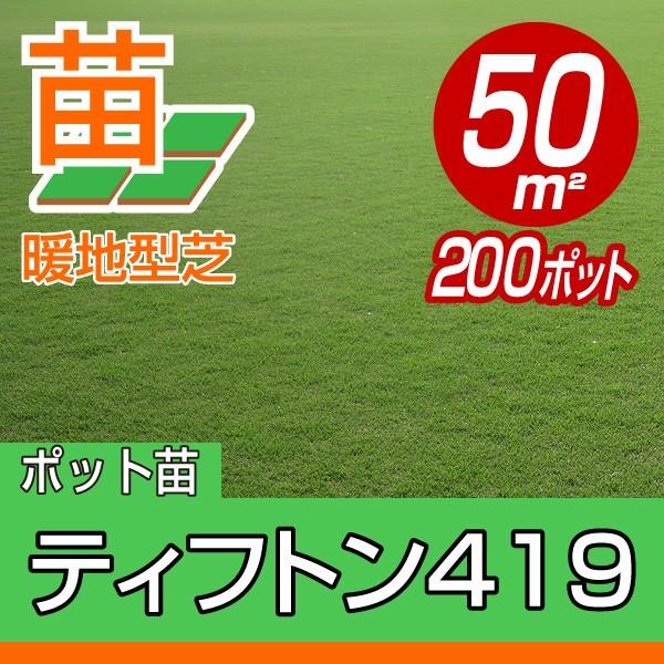 ティフトン４１９は、暖地型芝の永年草で、関東以西の西南地域を中心に利用されています。長い地上および地下ほふく茎を有し、葉は繊細でやわらかく、密度の高い美しい芝生を形成します。耐暑性・耐旱性に優れ、夏期の繁殖能力が旺盛で、冬期は休眠して地上部...
