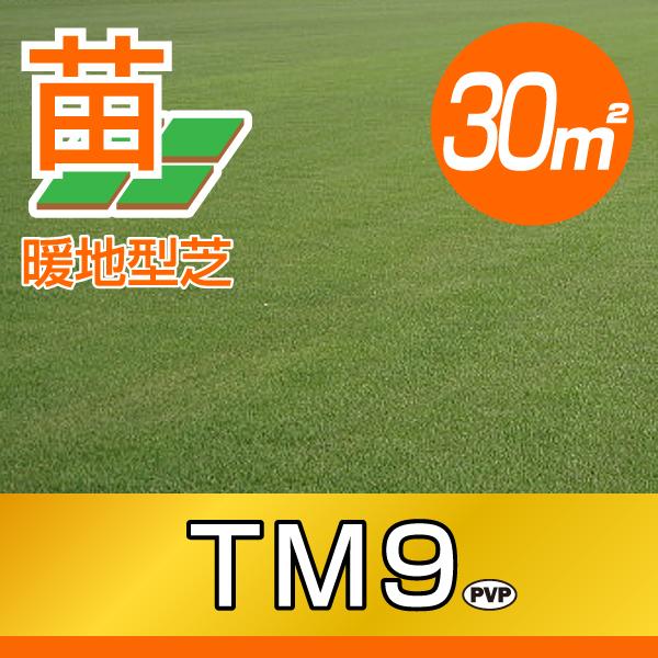 /苗の張り方説明書付き/高麗芝(コウライシバ)ＴＭ９（登録品種）は、暖地型芝の永年草で、関東以西の西南地域を中心に利用されています。長い地上および地下ほふく茎を有し、葉がやわらかで密度の高い美しい芝生です。このＴＭ９（登録品種）はあのトヨタ...